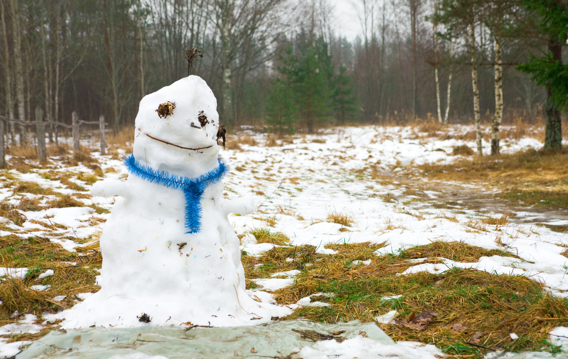 A future for skiing in a warmer world – SINTEF Blog