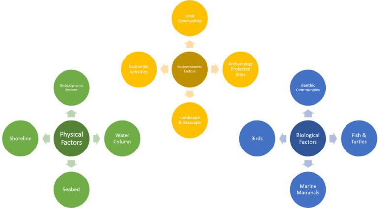 Identifying key environmental effects of wave energy deployments ...