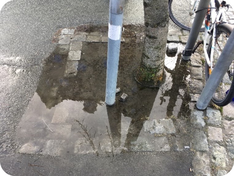 How Cities Can Use Biochar to Build Carbon Sinks – SINTEF Blog