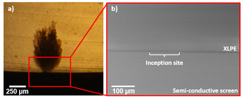 Tracking down the cause of water tree issues in wet design high voltage ...