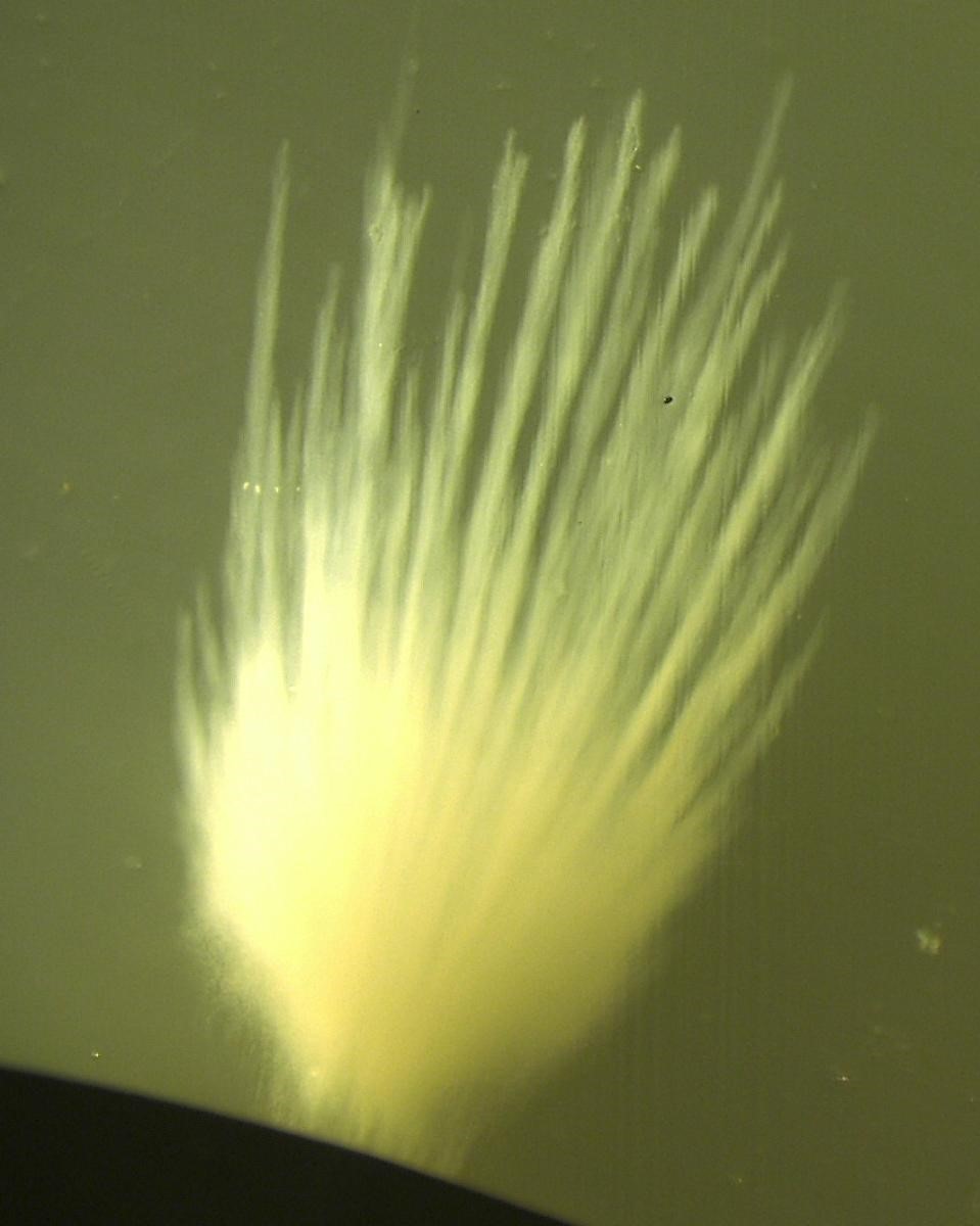 The Key to Cable Longevity: Understanding water treeing in power cables ...