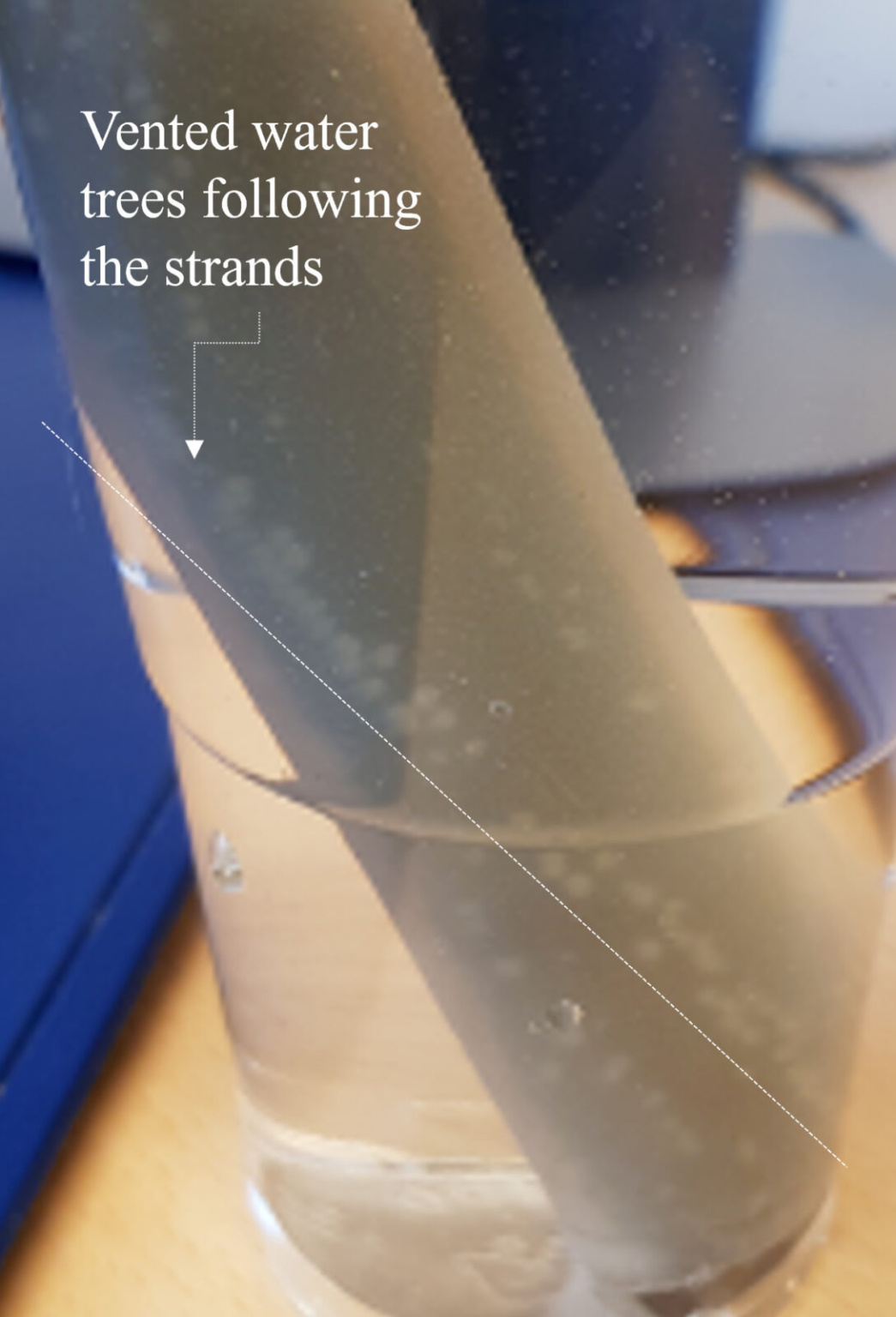 The Key to Cable Longevity: Understanding water treeing in power cables ...