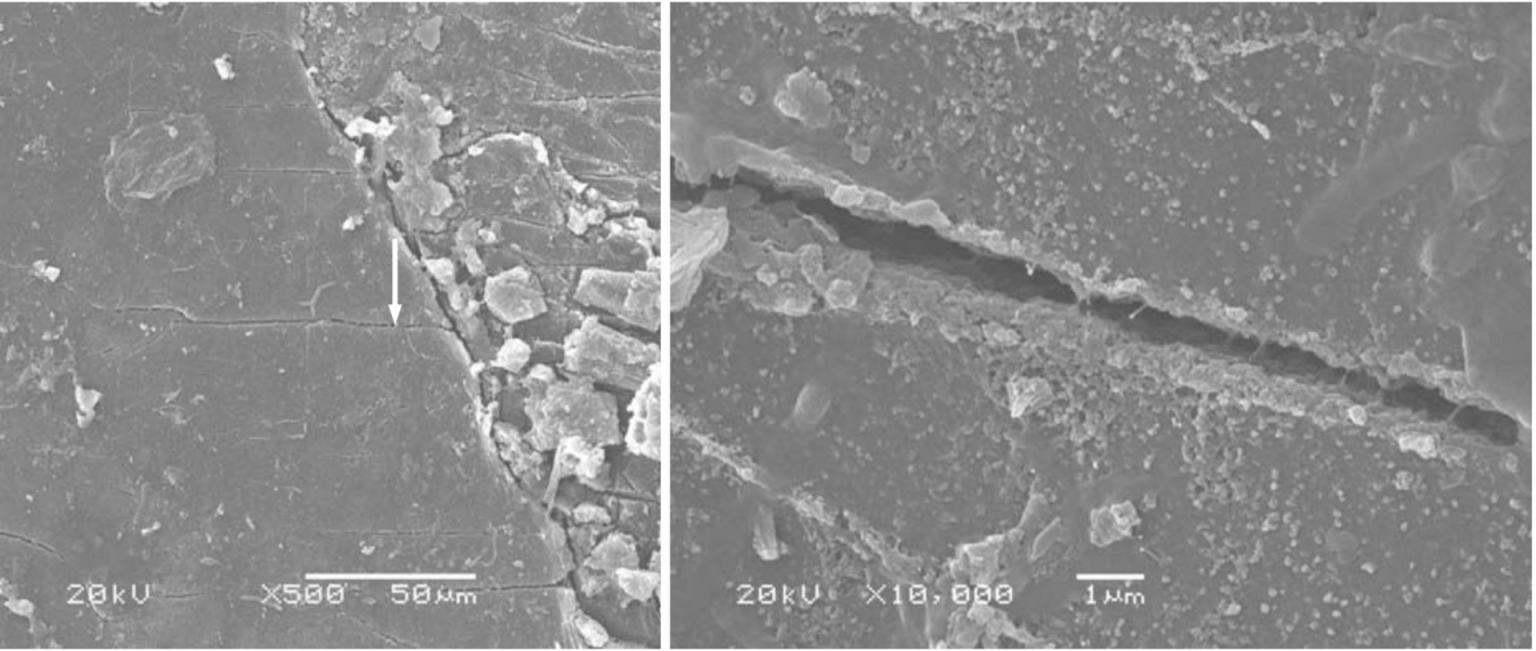 The Key to Cable Longevity: Understanding water treeing in power cables ...