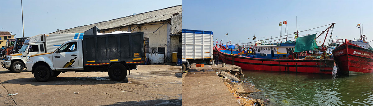 Implementing clean cooling solutions in the Indian seafood cold chain ...