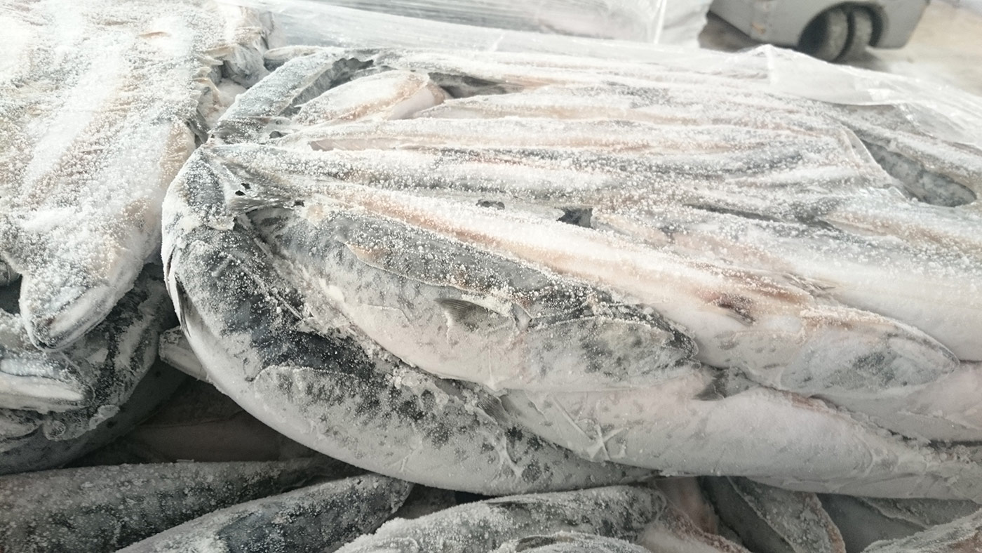 Refrigeration’s role in climate adaptation and mitigation – SINTEF Blog