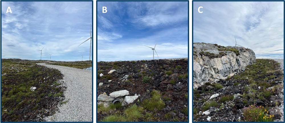 How wind energy impacts ecosystems: Vegetation studies at Norwegian ...
